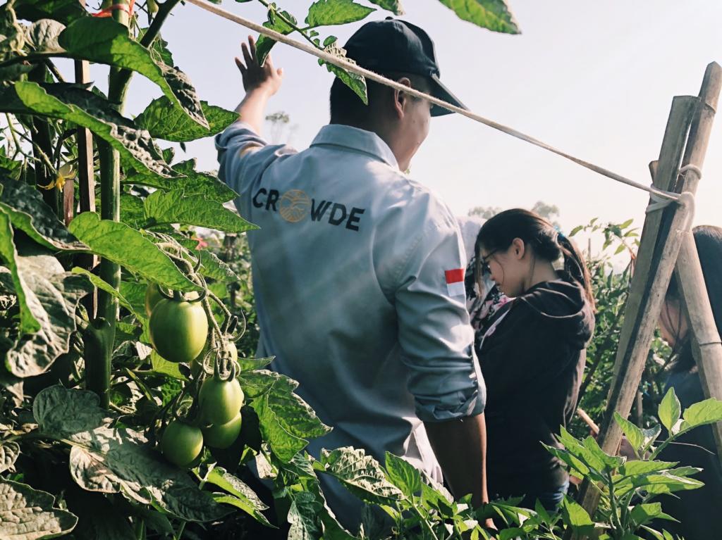 Crowde, Indonesian peer-to-peer lending startup secures US$1 million ...