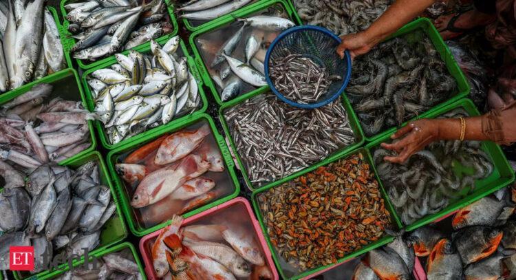 India-based B2B seafood marketplace Captain Fresh raises US$40 million ...